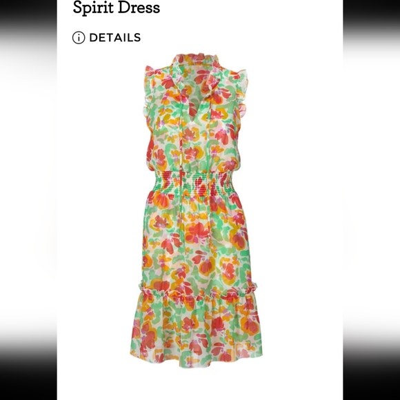 CAbi | Dresses | Spirit Dress | Poshmark